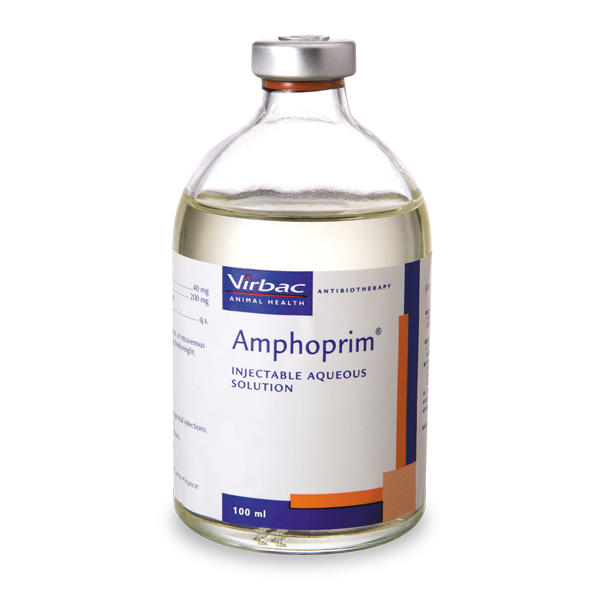 암포프림 주사 Amphoprim inj.