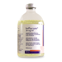 인플라캄2% Inflacam 2% inj.